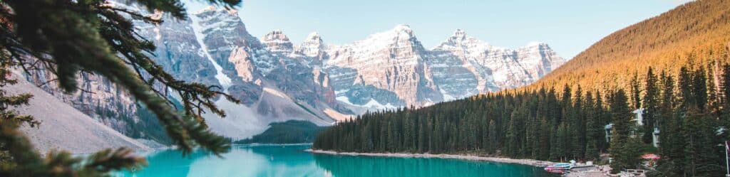 Pre Employment Drug Testing Alberta | CannAmm